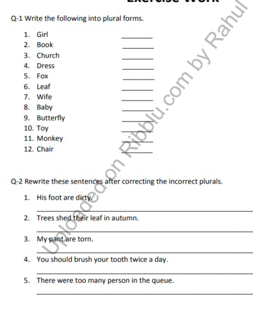 Class 3 English Singular And Plural Nouns Worksheets Class 3 English Singular And Plural Nouns Worksheets